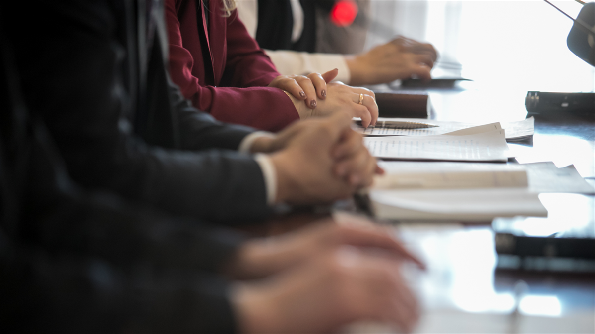 Council standing committees and representation City of Darebin