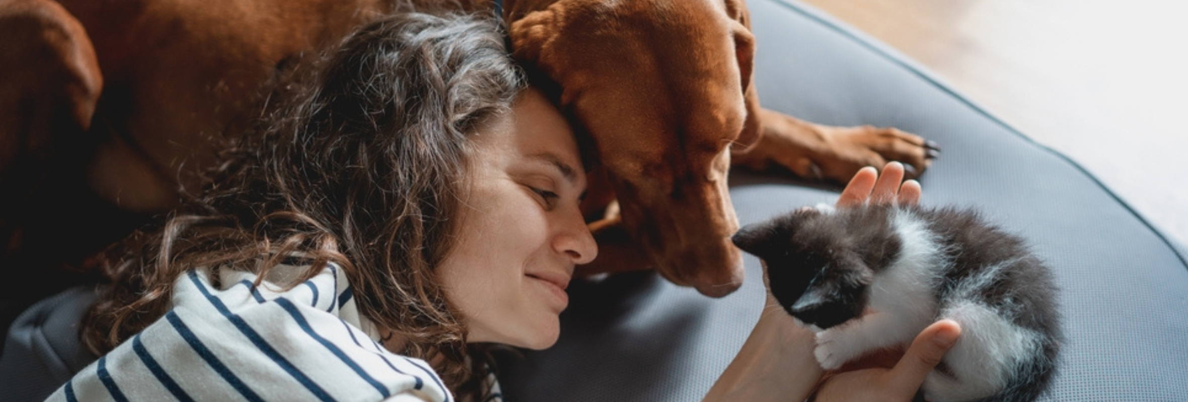 Home City of Darebin